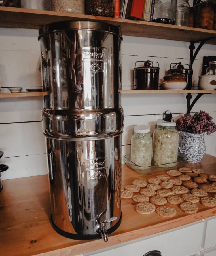 Top 10 Kitchen Essentials for a Traditional Foods Kitchen - Wilson ...