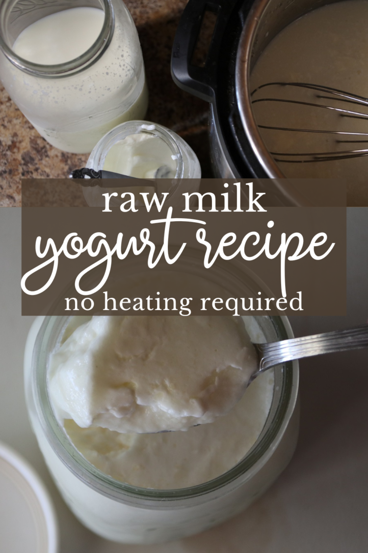 Raw milk yogurt recipe; no heating required - Wilson Homestead